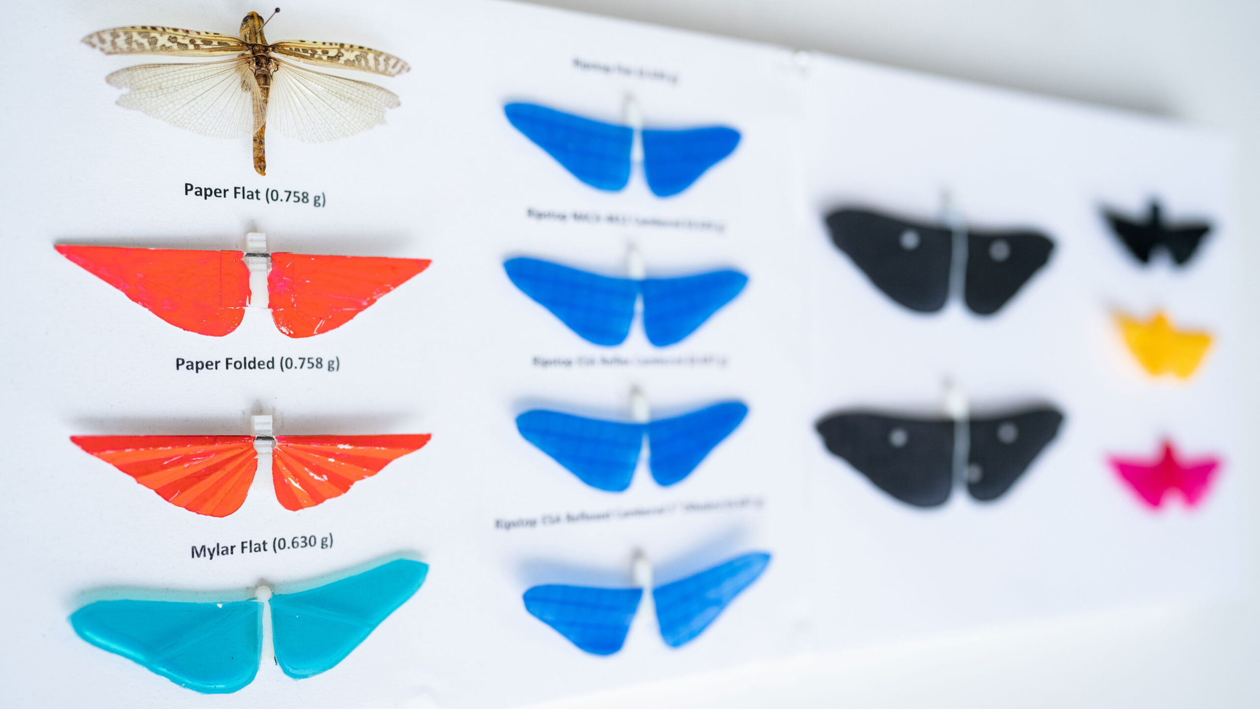 Innovation funds support research in robotics, machine learning ...